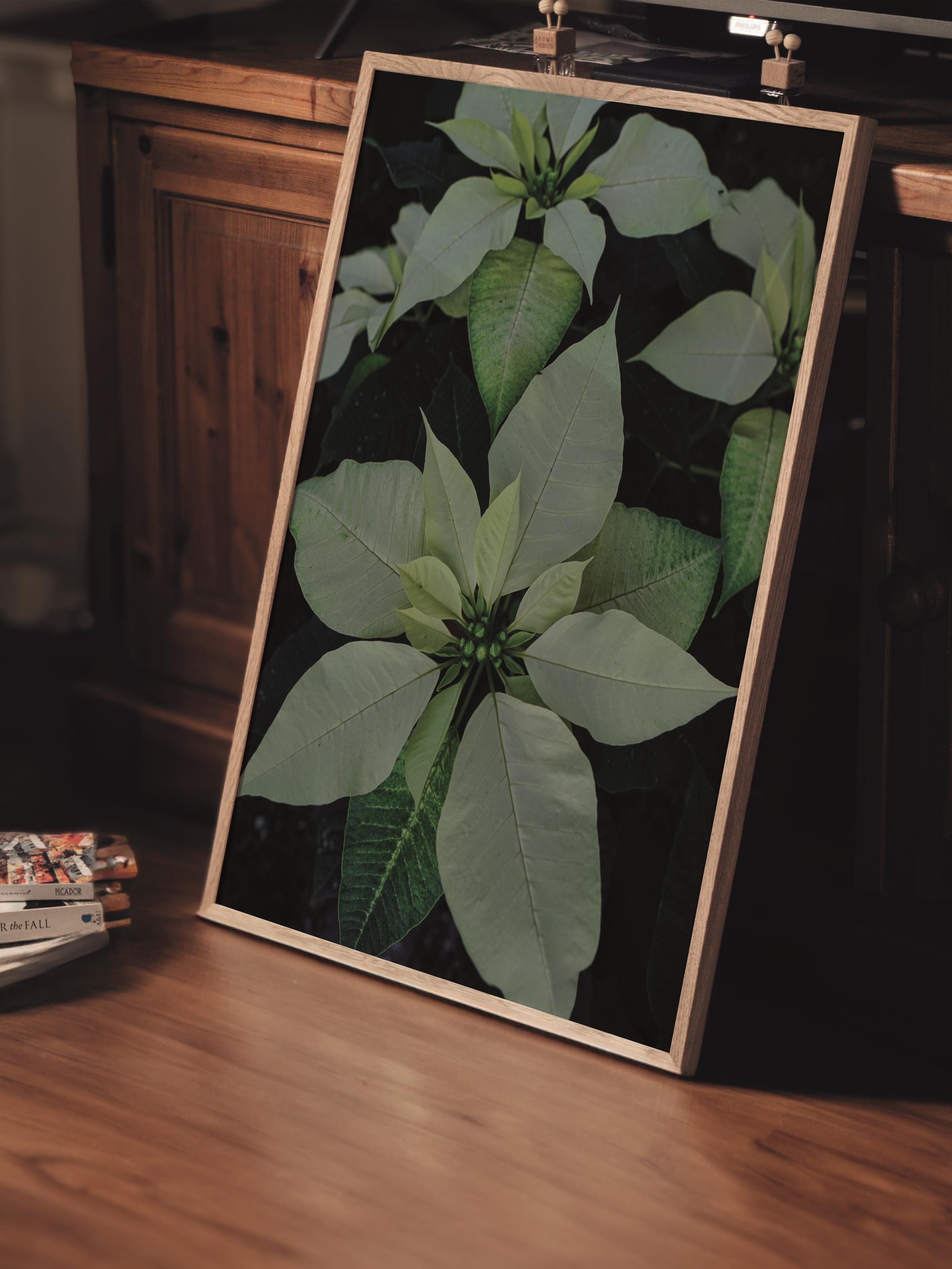 Çerçevesiz Poster, Botanik & Yaprak Tablo No:43, HD Fotoğraf, Salon, M