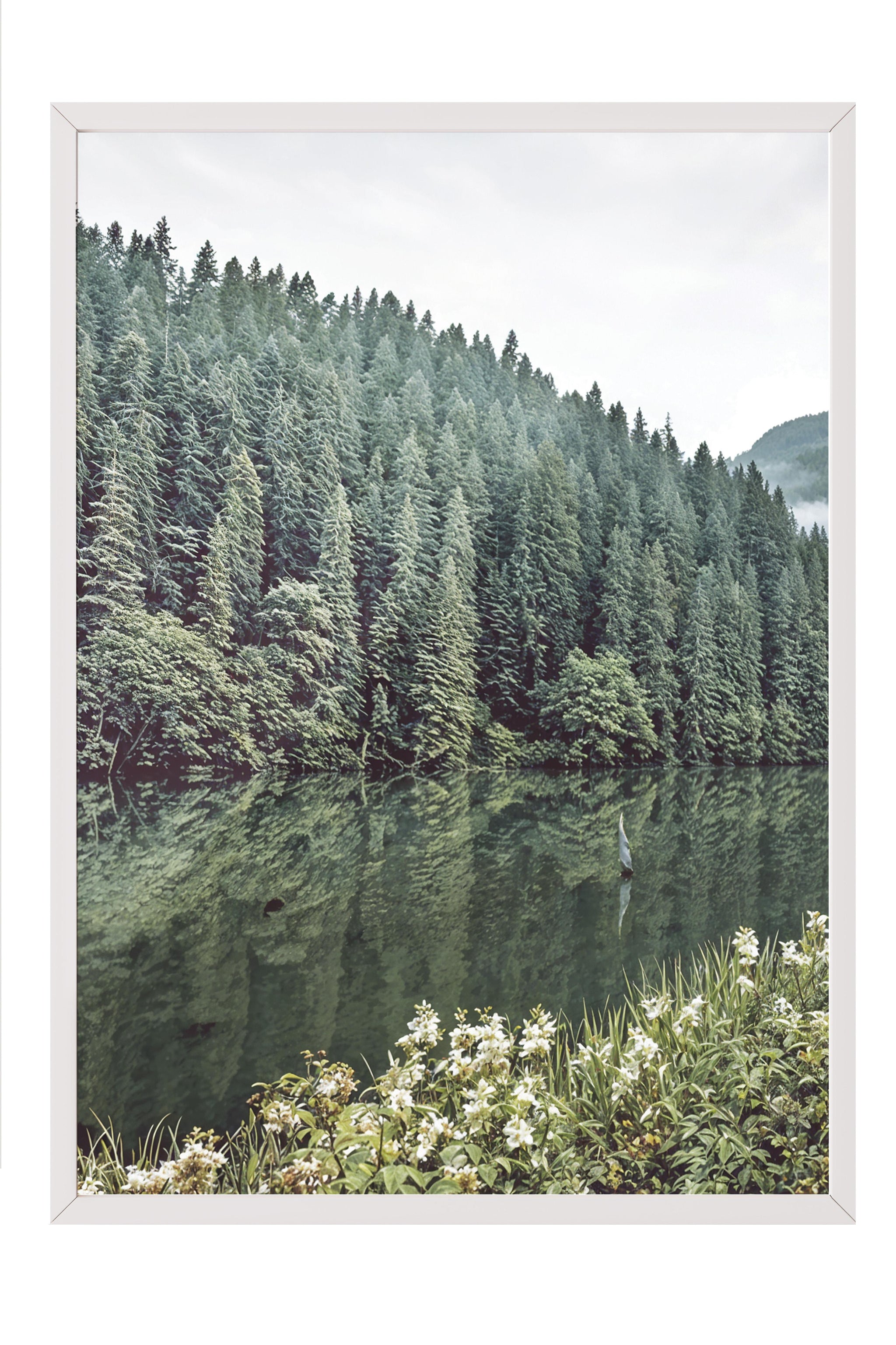 Forest Landscape No1 Beyaz Çerçeveli Tablo, Duvar Tablosu Comfort Seri