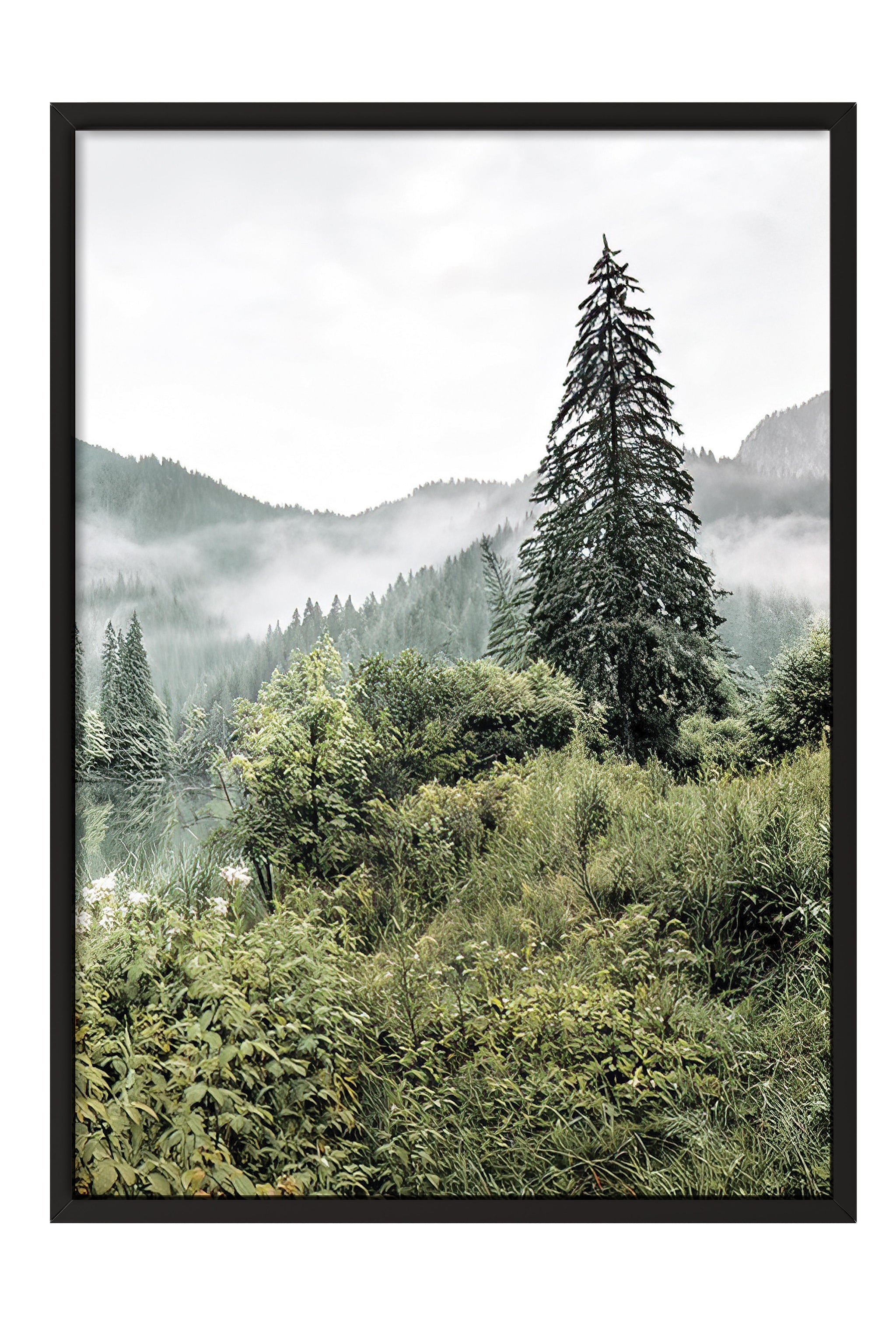 Forest Landscape No2 Siyah Çerçeveli Tablo, Duvar Tablosu Comfort Seri
