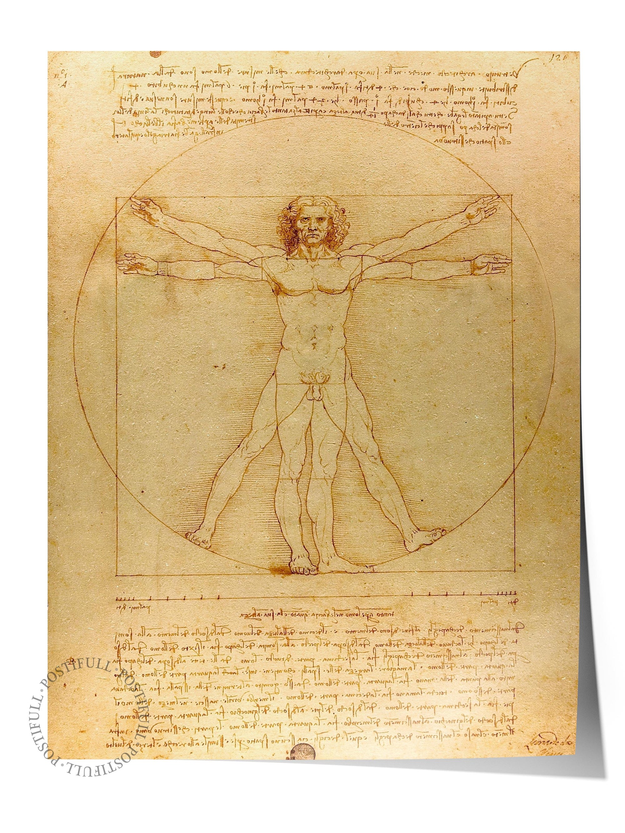 Leonardo Da Vinci Poster No:7 Modern Sanat Poster - Sanat Dekor Serisi